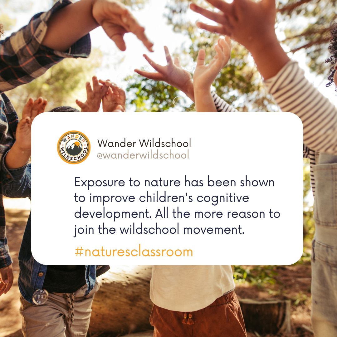 Forest Foraging Guide for Beginners (& Wild Edible Tips) - Free Range ...